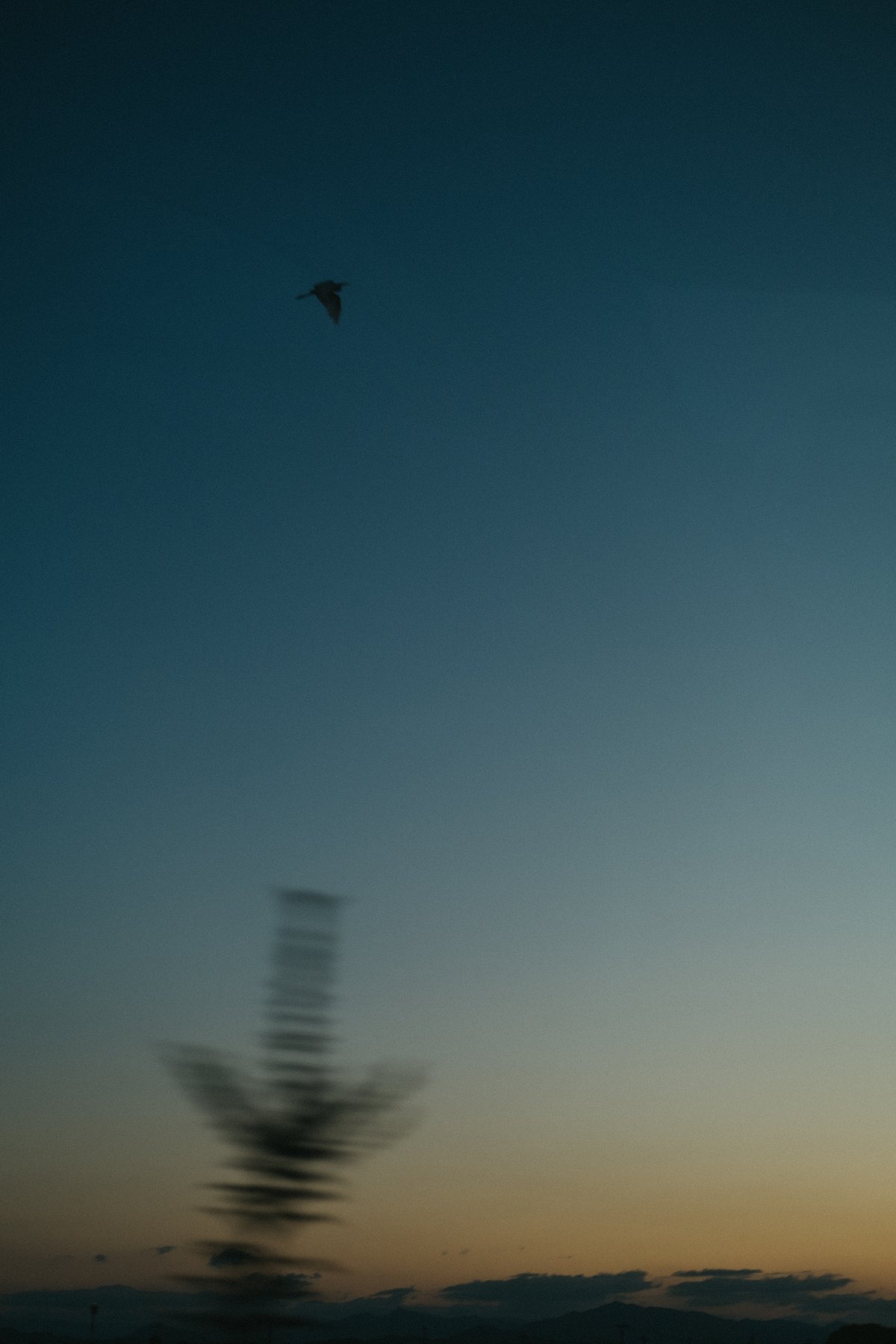 6つの鏡を通して、自分を見た時間ーーDANRO BEYOND卒業生インタビュー｜DANRO inc.