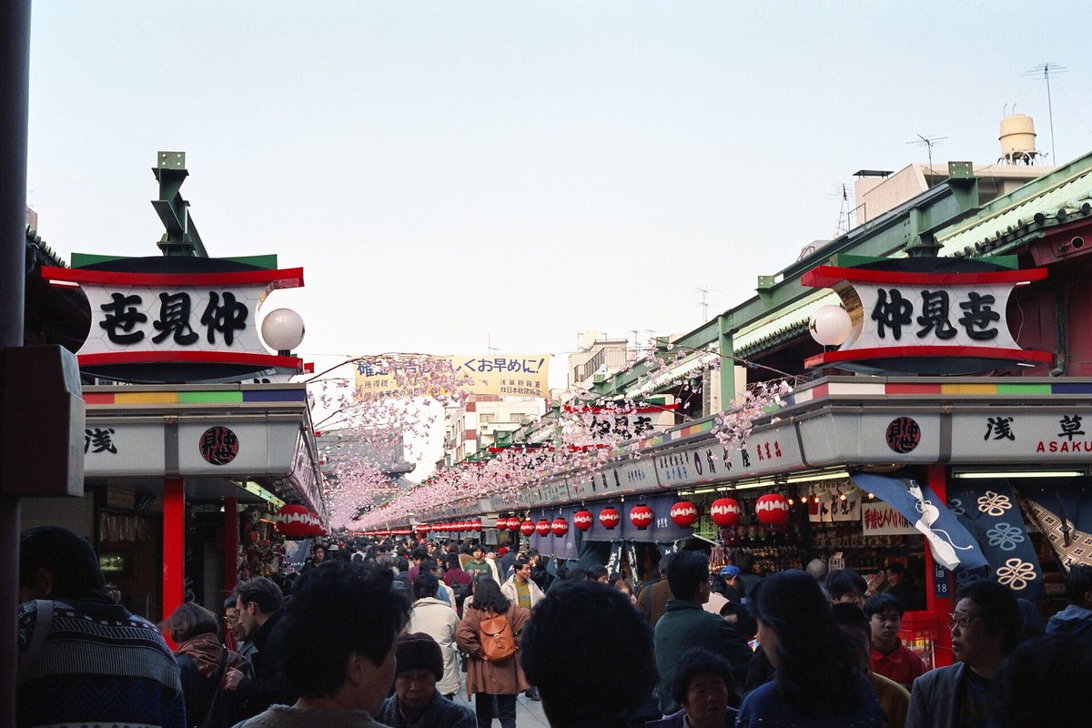 Vito BLの写真をもう一つ｜robert_oku