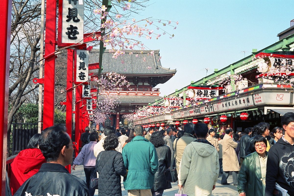 Vito BLの写真をもう一つ｜robert_oku