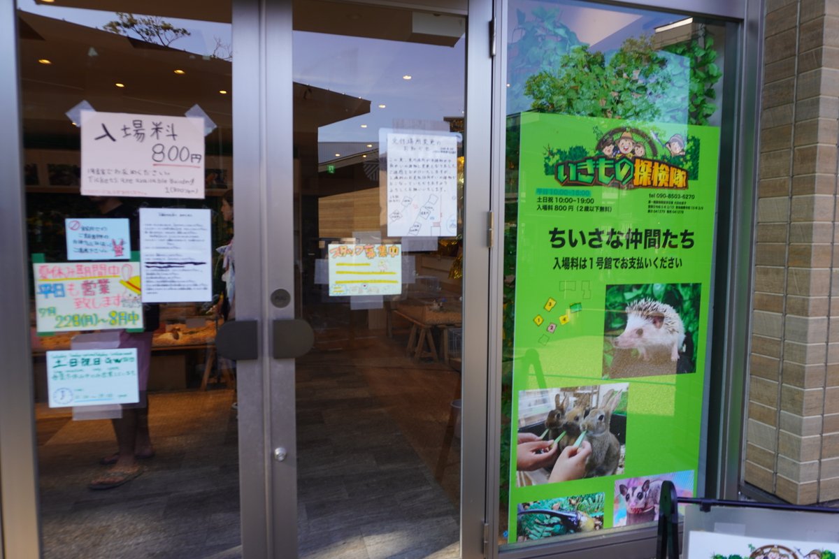 【ZASO:226】愛知県 #いきもの探検隊名古屋店｜ZASOちゃんねる