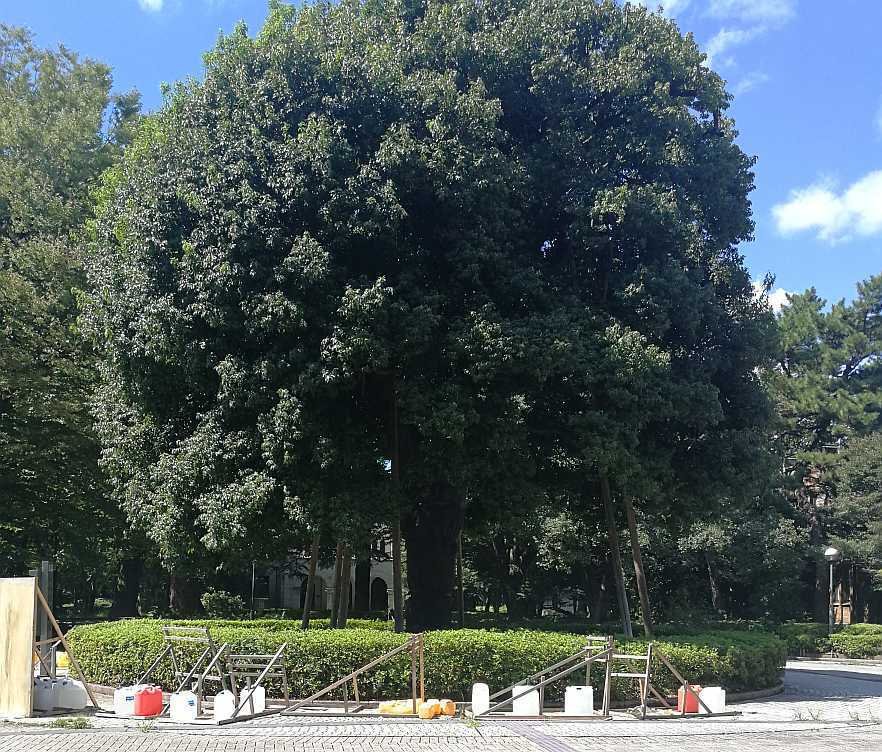 上村裕香『ほくほくおいも党』 雑感その10 (終)｜aikawa