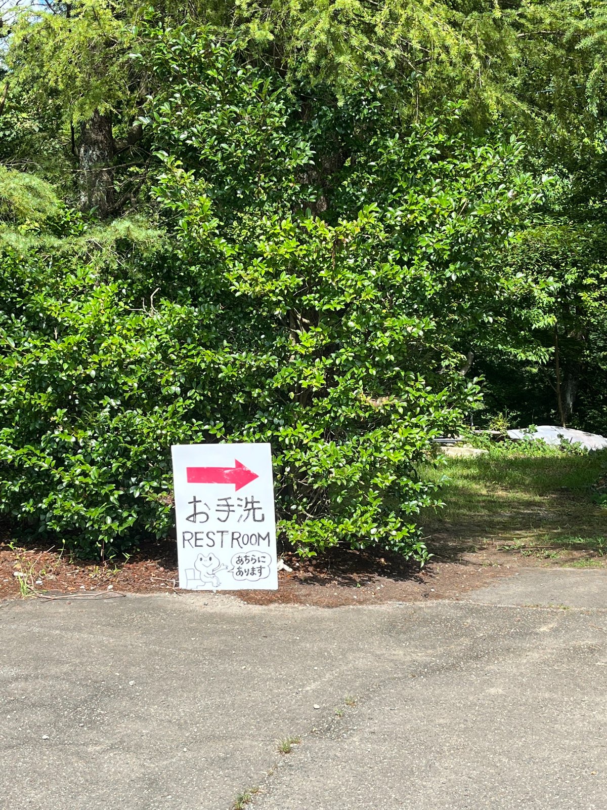 Otogawa Kankou Budouen「GRAPE PICKING」2022｜for her