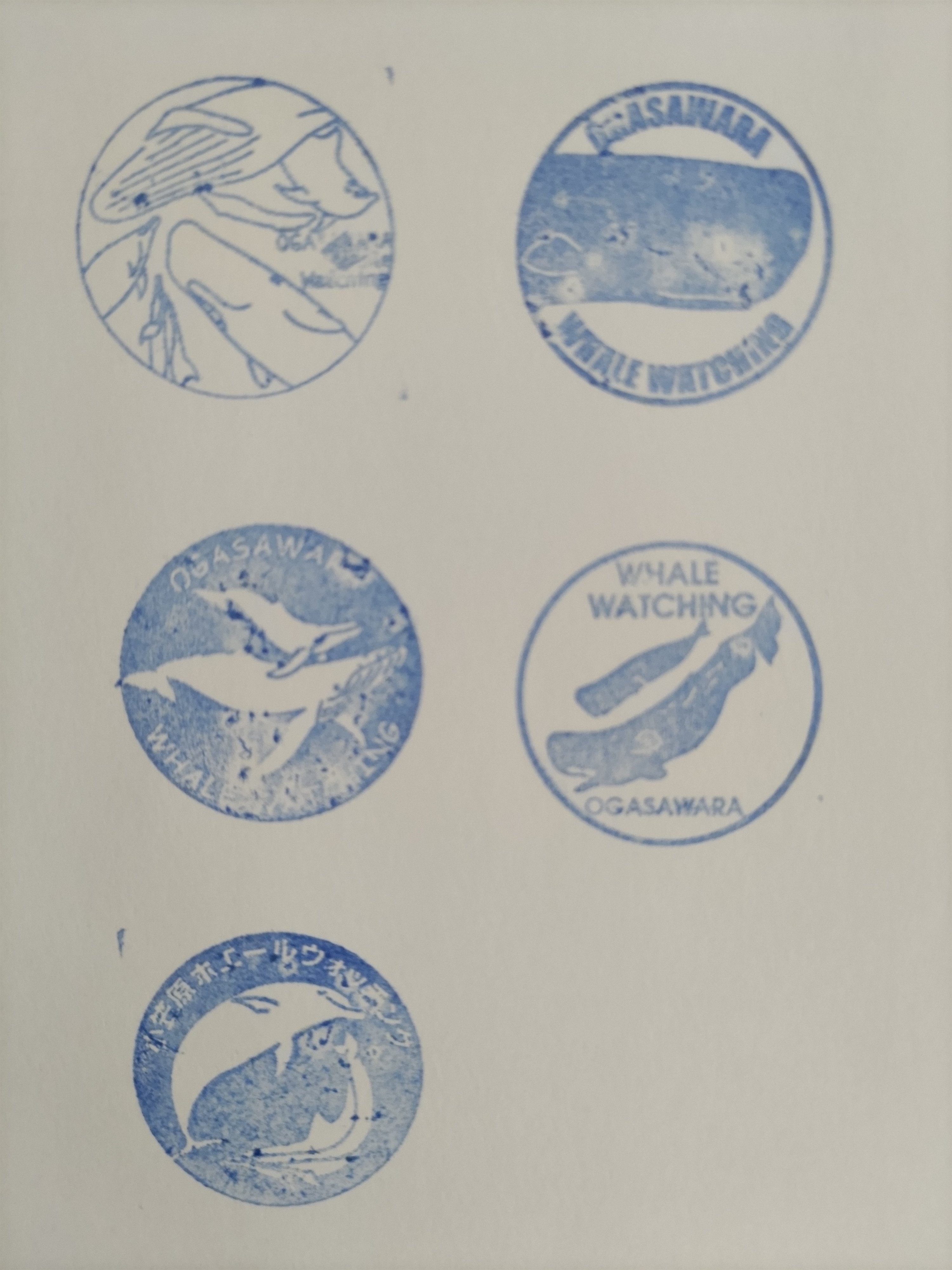 02.アオウミガメの刺身・煮込み（東京都小笠原村・父島）｜青条