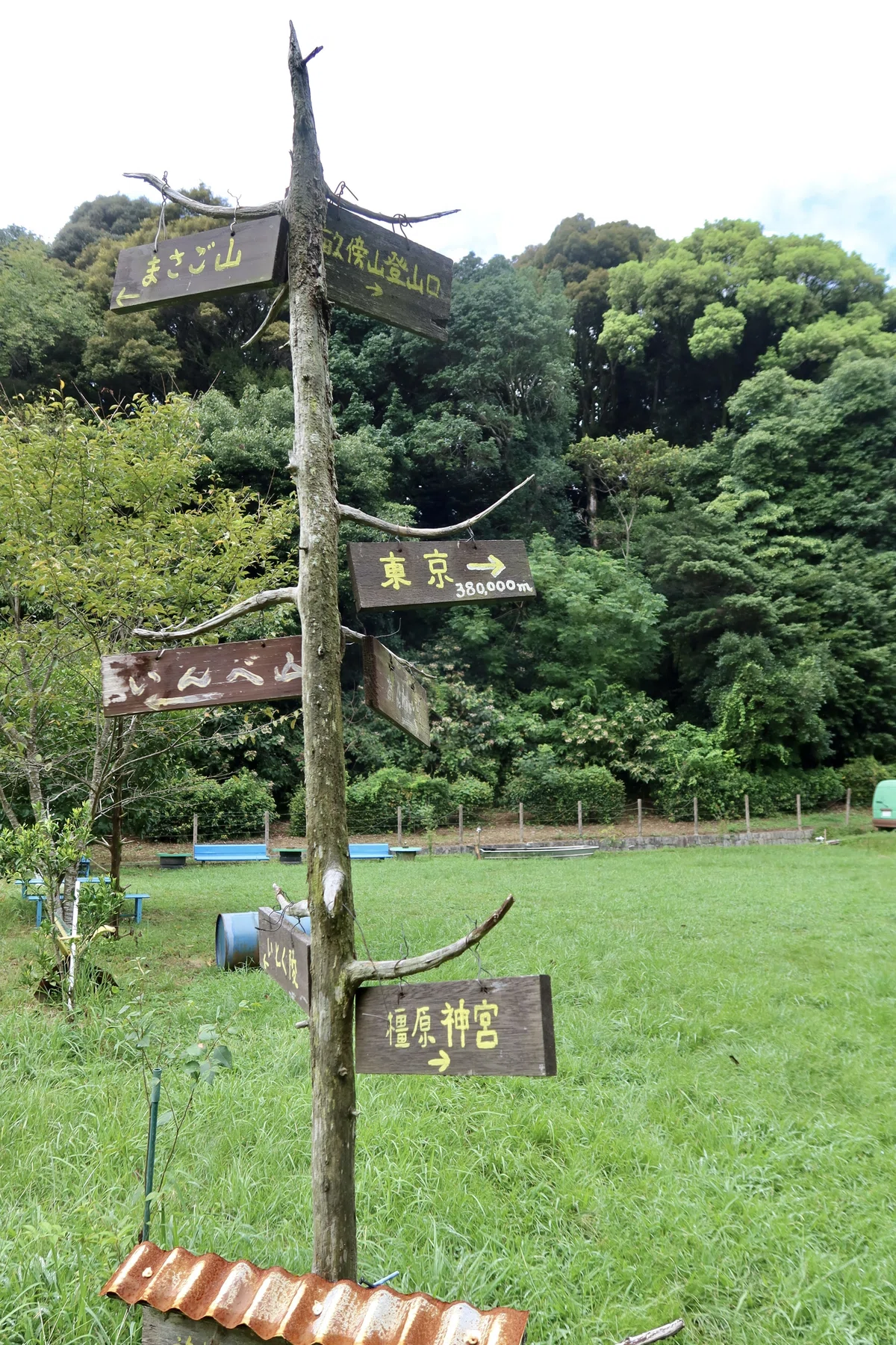 あをによし 雲も歩けば古にあたる 奈良あるき｜kumokichi