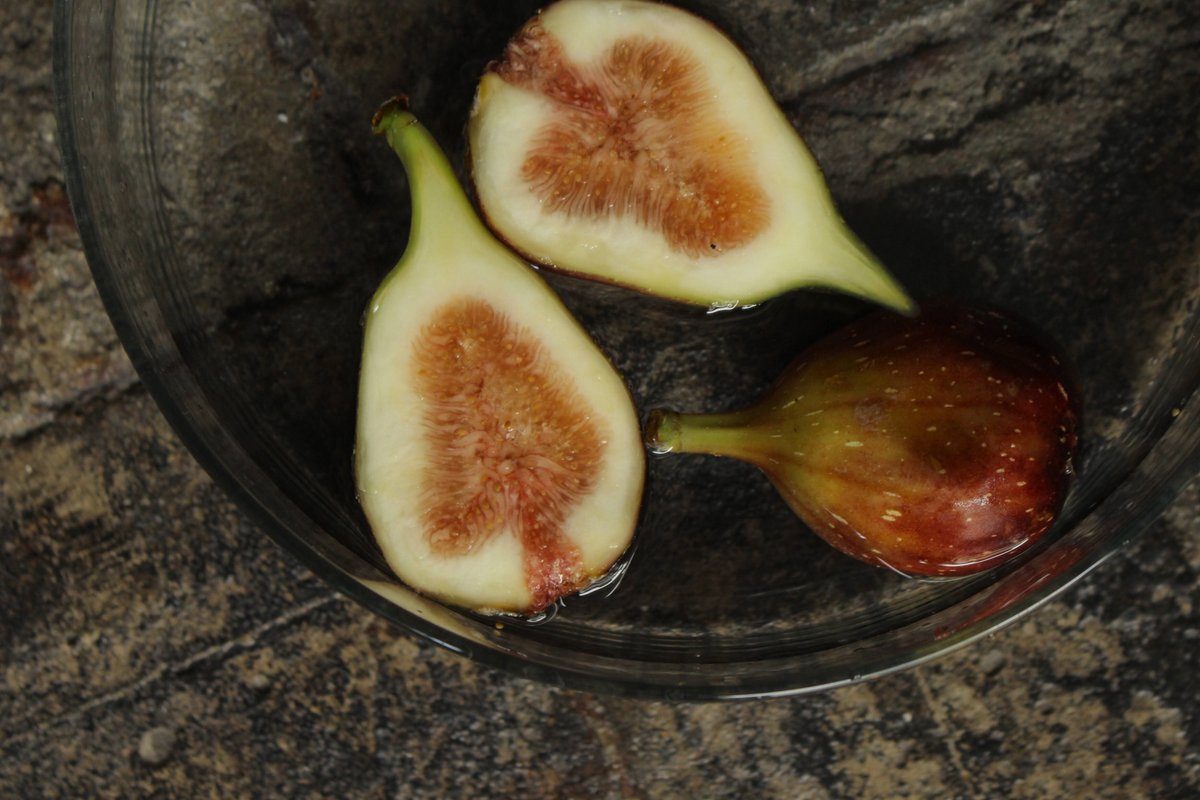 無花果の香りコレクション―旬を愉しむアイテム4選｜NEHAN TOKYO