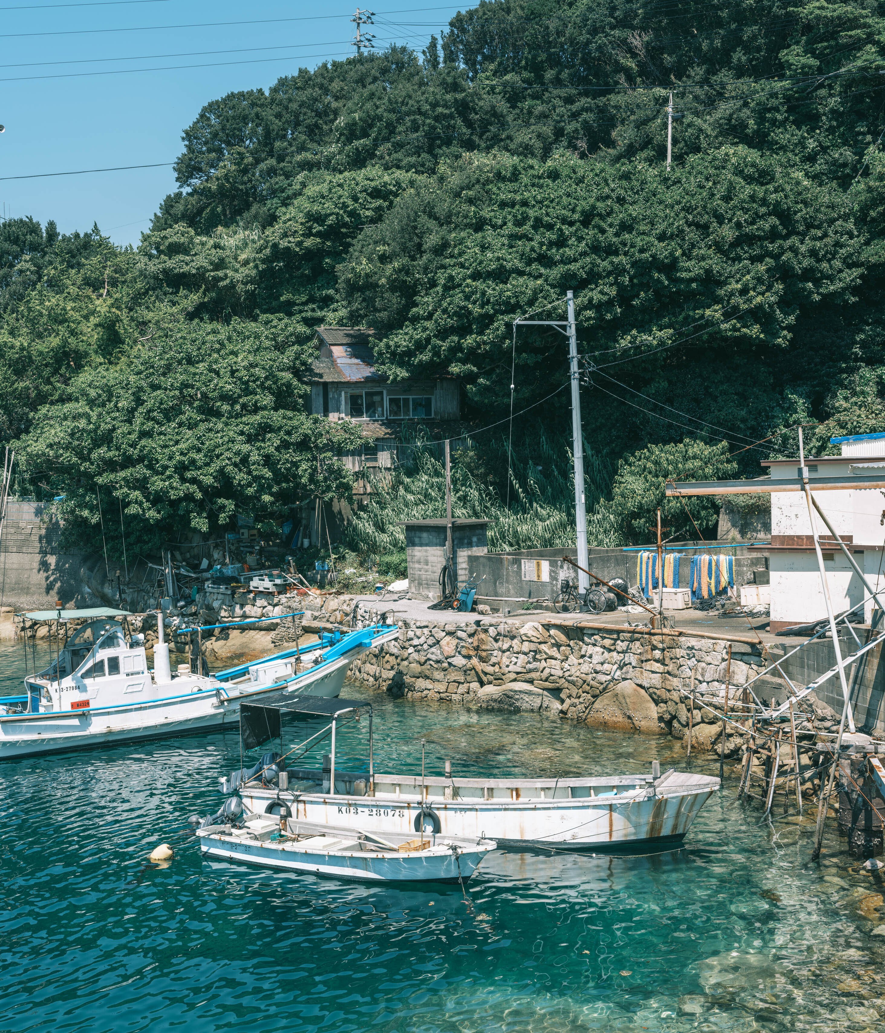 GFXで撮る田舎の夏│ GFX100sii + GF55mmF1.7 WR 作例|uhe GFXで撮る田舎の夏│ GFX100sii + GF55mmF1.7 WR 作例|uhe