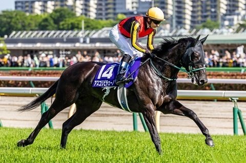 【京成杯オータムH（G3）】～予想篇｜Haya