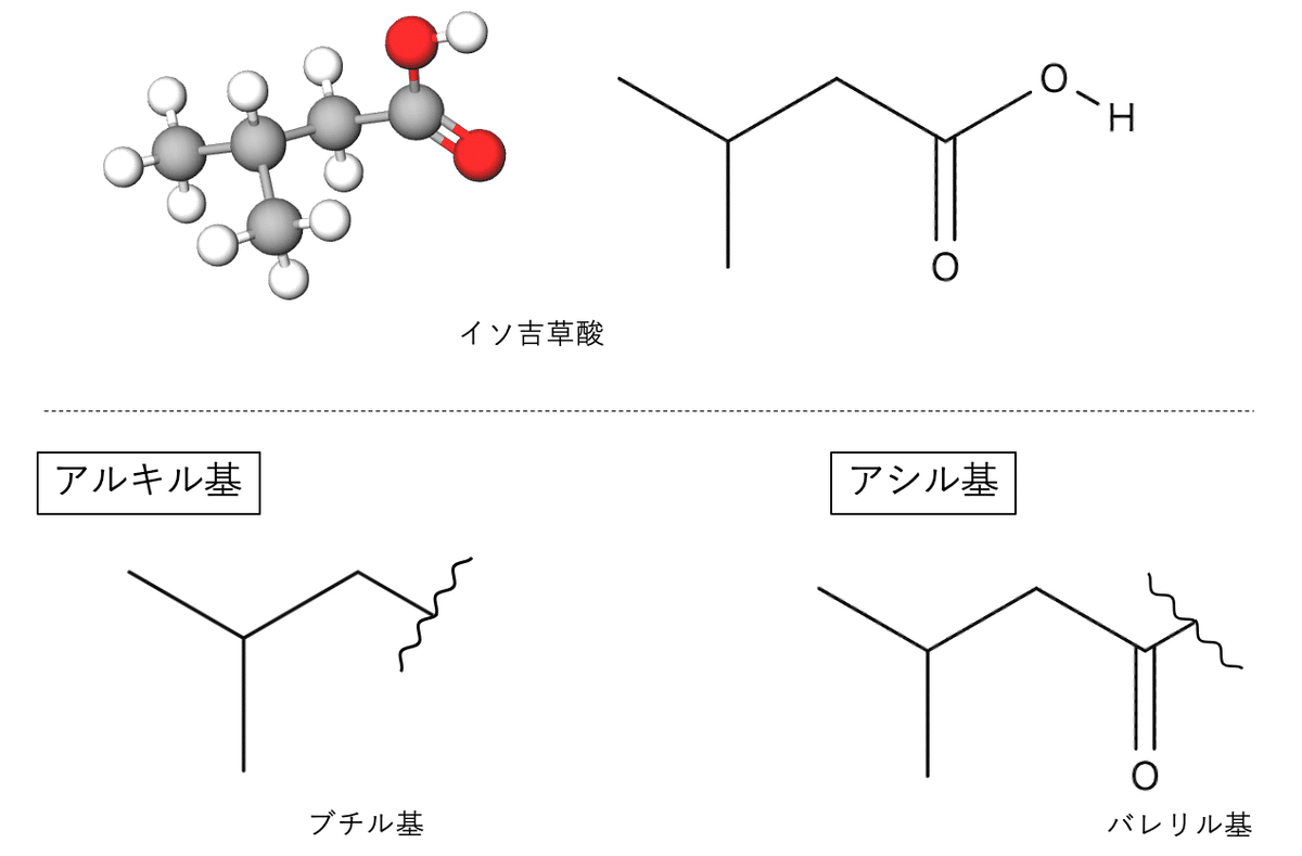 Off Flavor入門〜㉖イソ吉草酸｜Shiro Yamada