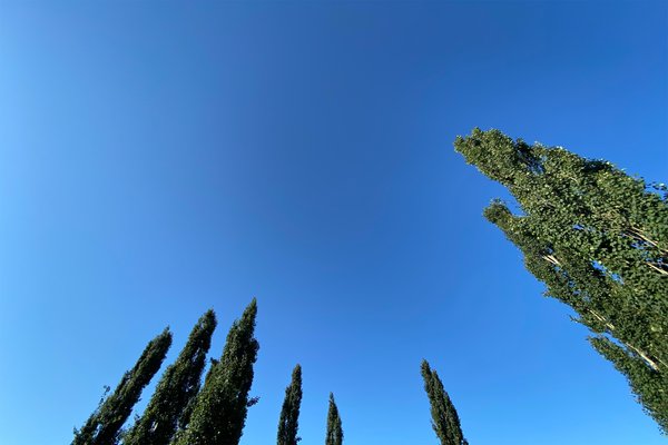 まさ / Atelier Masa｜note