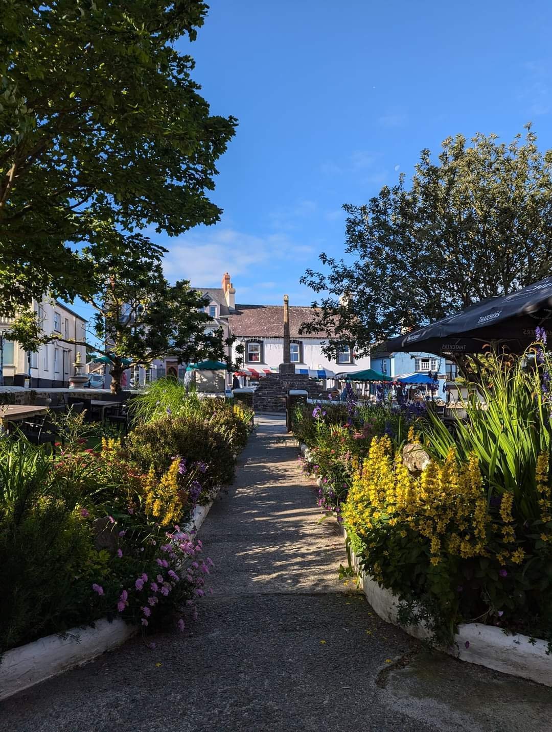 お久しぶりです、、、の投稿｜Sally in U.K.