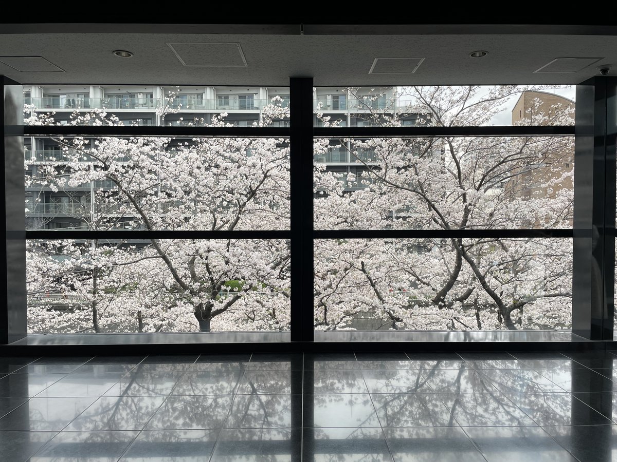 【社員ブログ#2】 はじめまして！Peach Tech所属、大河内です！｜TeamTech グループ