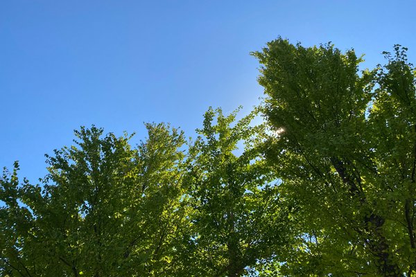 まさ / Atelier Masa｜note