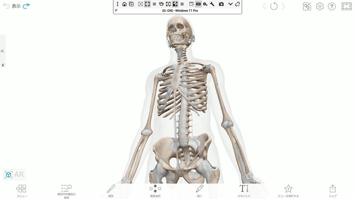 【Linux】いつのまにかWindowsのリモートデスクトップが優秀になっている話｜Catapp-Art3D