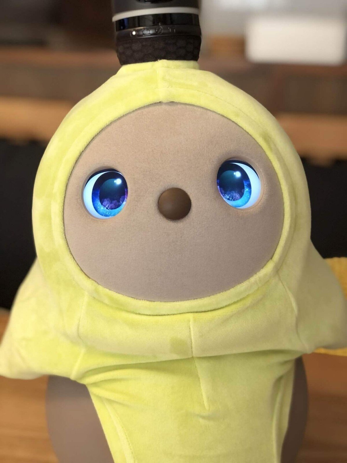 【終了】LOVOT公式エバンジェリストになりました！｜かしみ