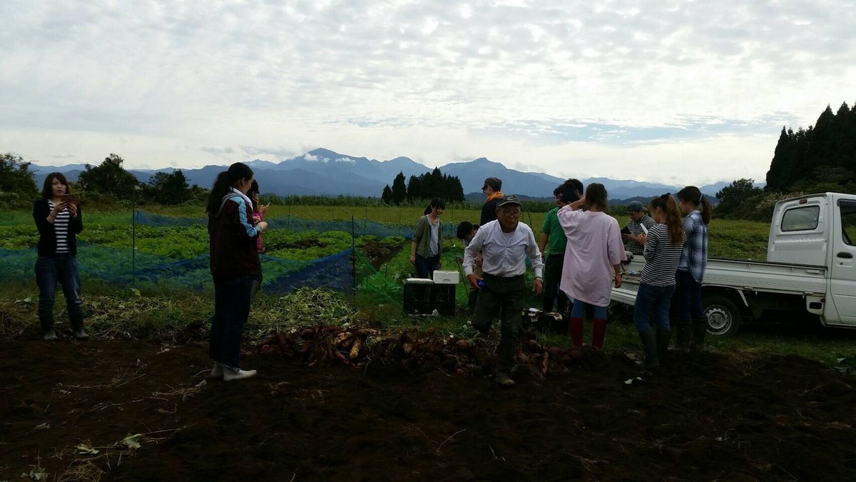 【SUZU Story vol.7】この会社で経験した、私の今までとこれから ： 高野彩加｜SUZU GROUP