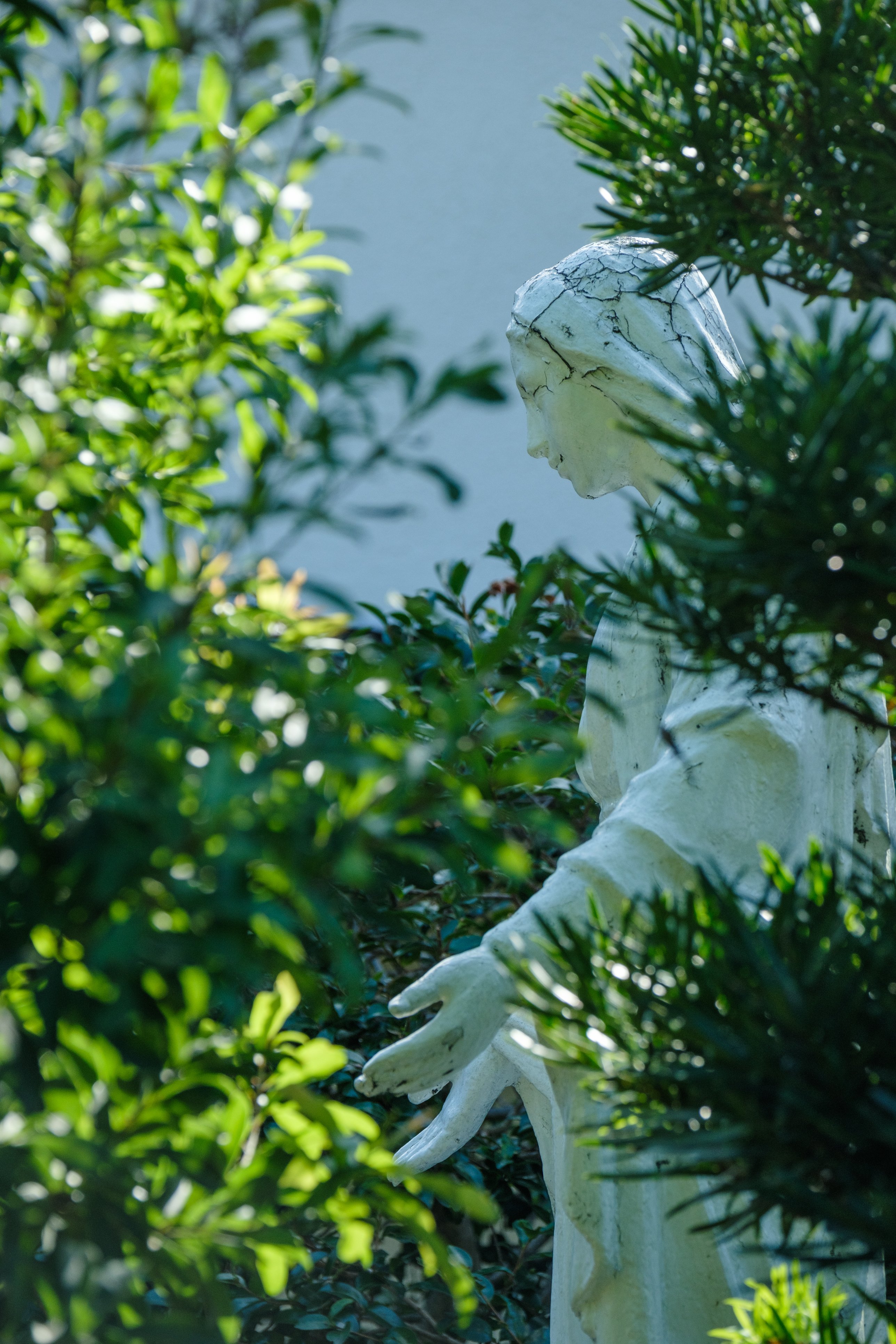 Dialogue With Mary_東京都_2024｜Dialogue With Mary @shinya-hirose