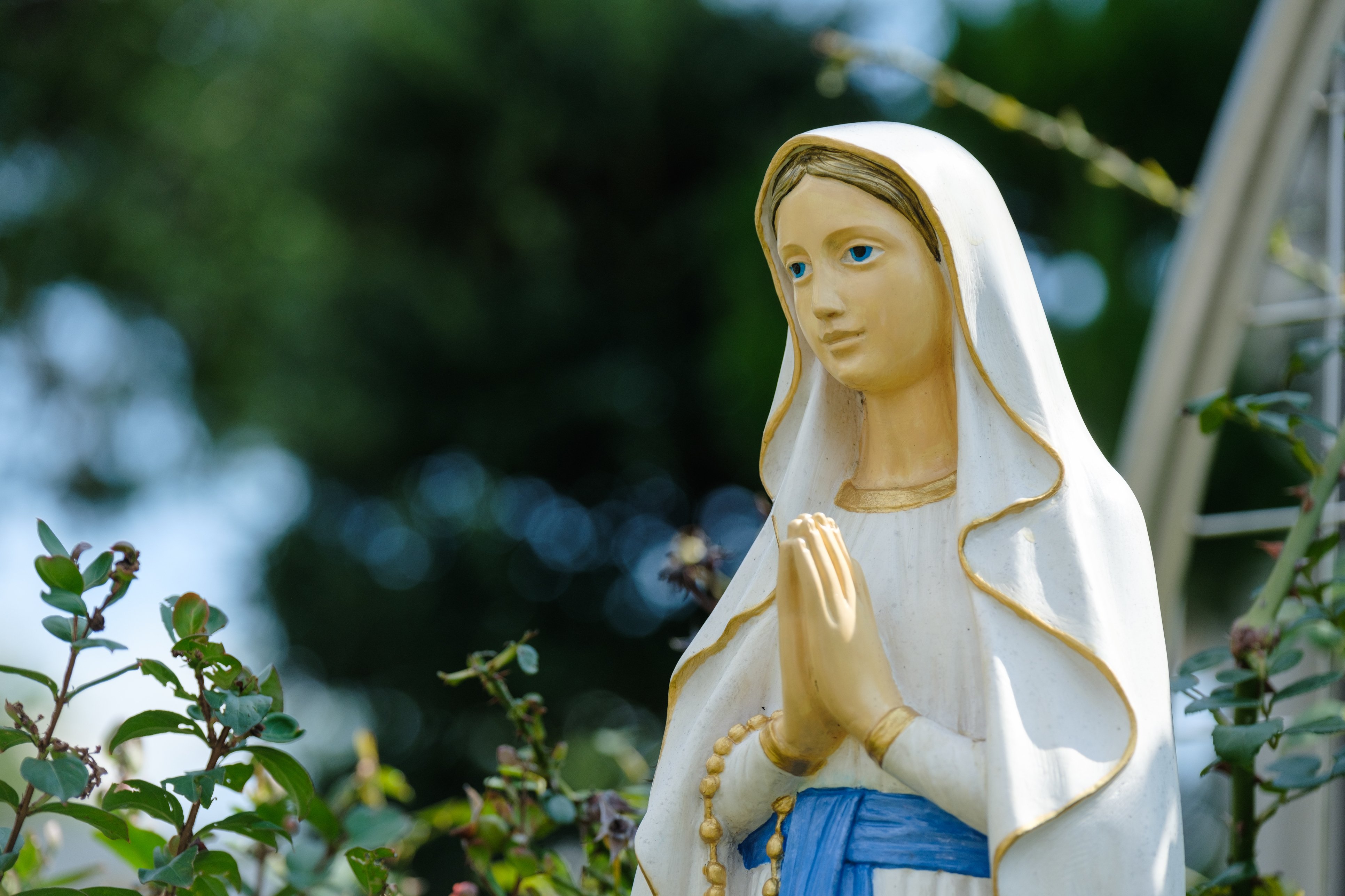 Dialogue With Mary_東京都_2024｜Dialogue With Mary @shinya-hirose