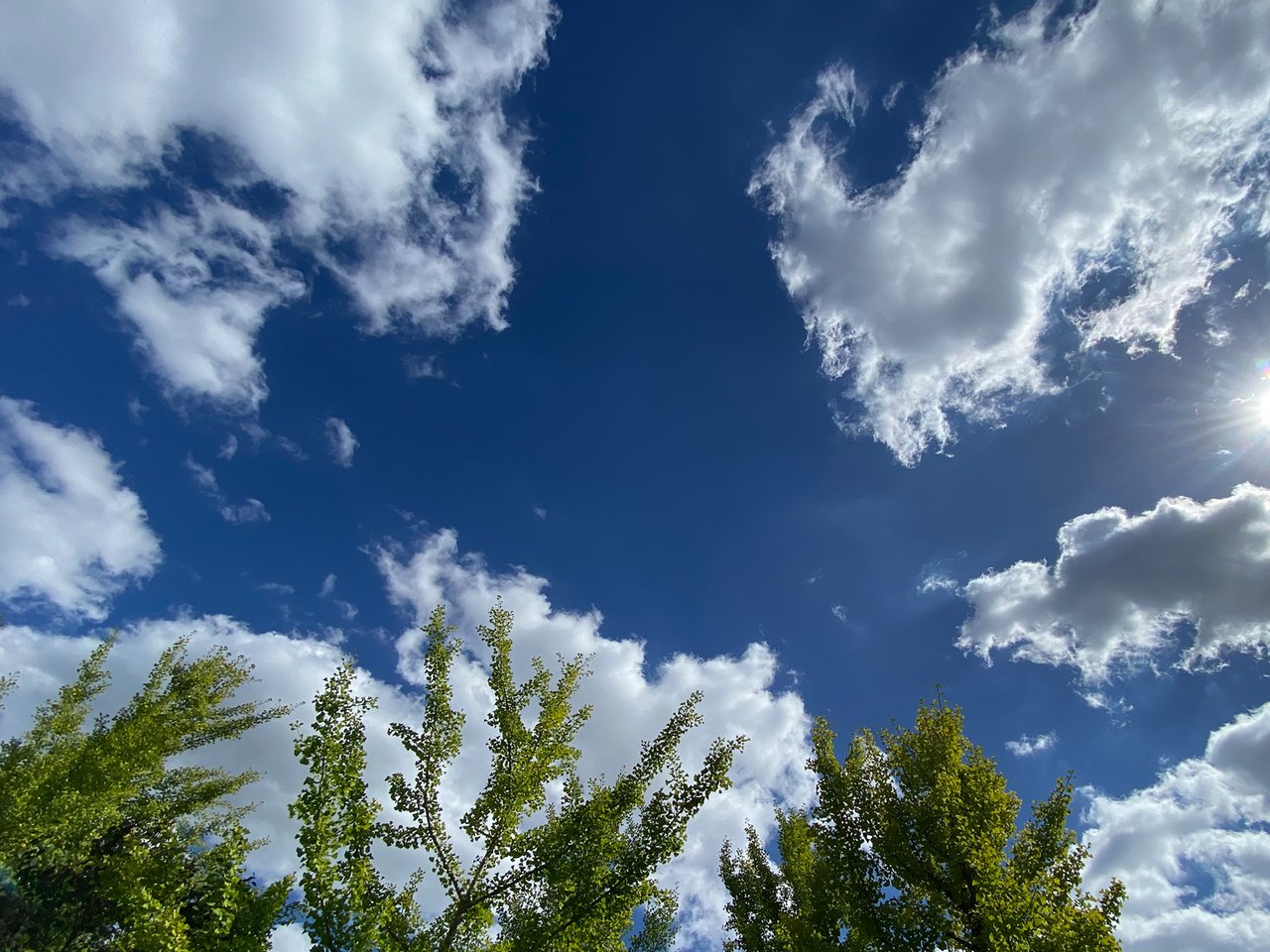 まさ / Atelier Masa｜note