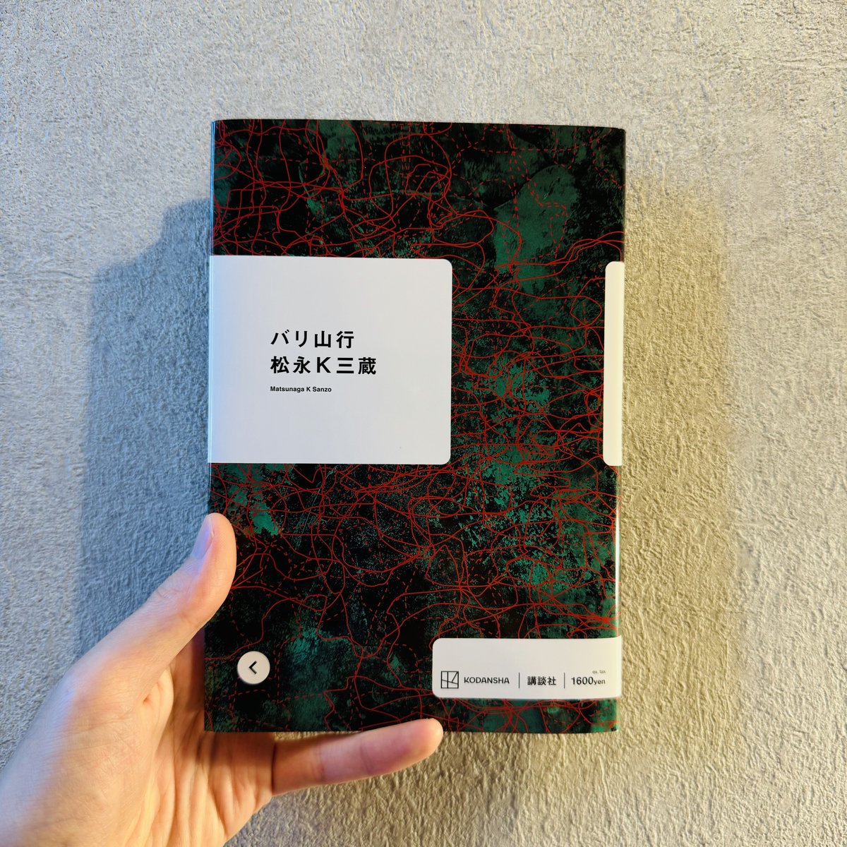 松永K三蔵『バリ山行』を読んだ感想｜教育と文学｜KOHEYA Ryutaro