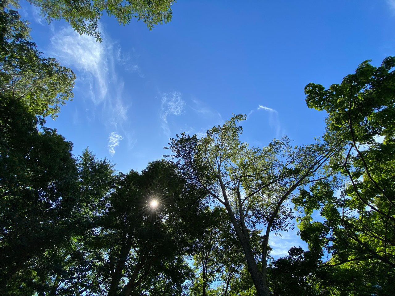 まさ / Atelier Masa｜note