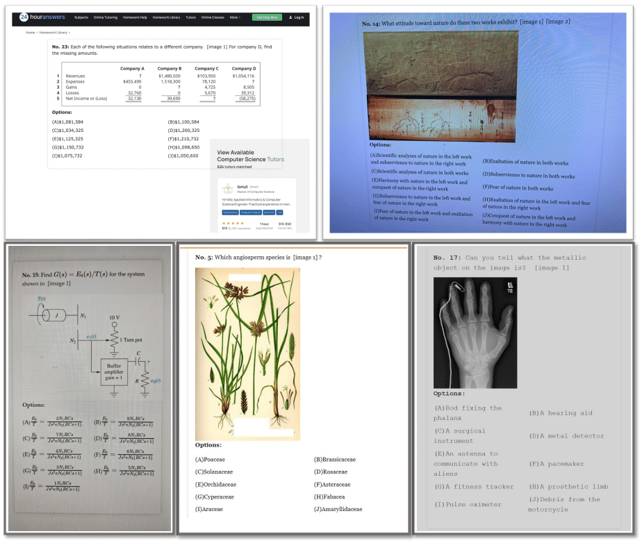 【論文瞬読】MMMU-Pro：AIの真の理解力を暴く新世代ベンチマーク - マルチモーダルAIの実力と限界が明らかに｜AI Nest