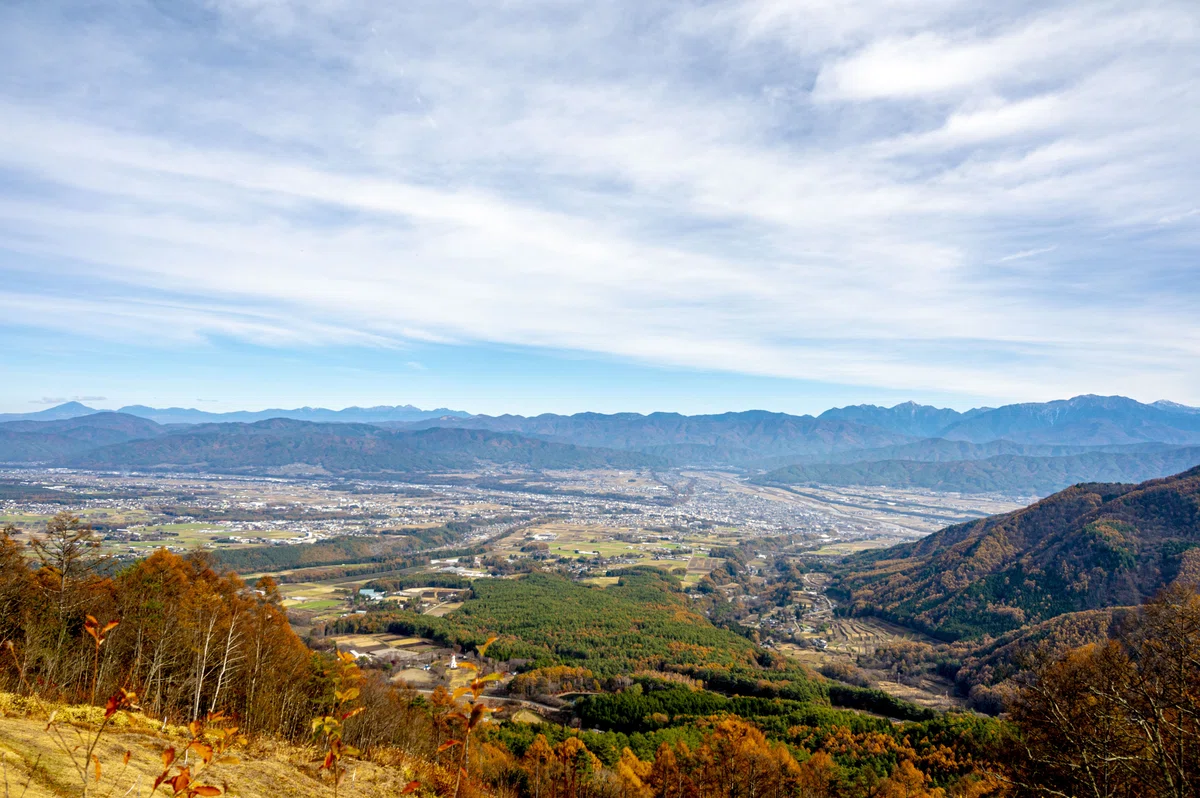 SATOYAMA CONCEPT MAPsという森づくりのコンセプト｜奥田 悠史