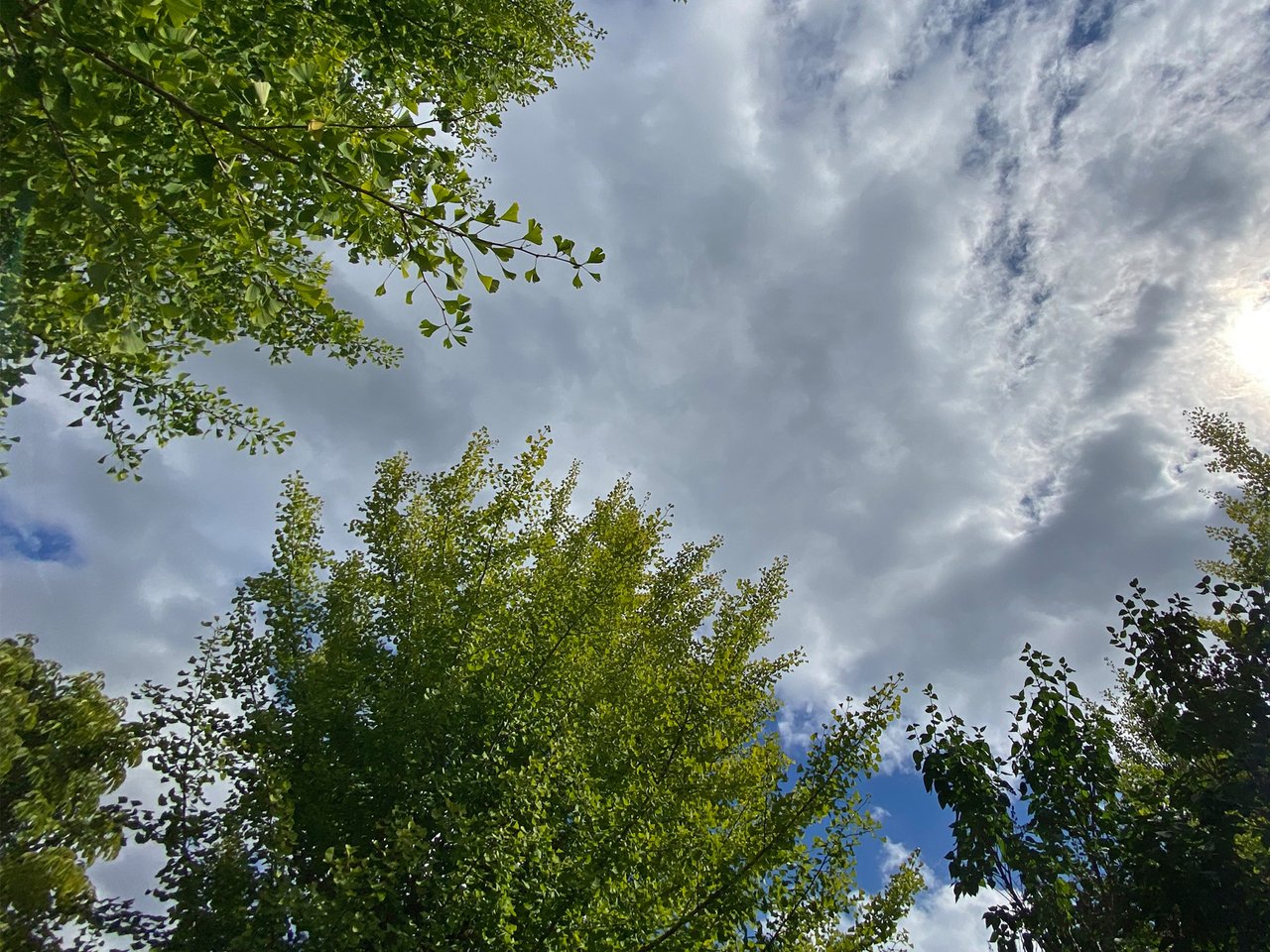 まさ / Atelier Masa｜note