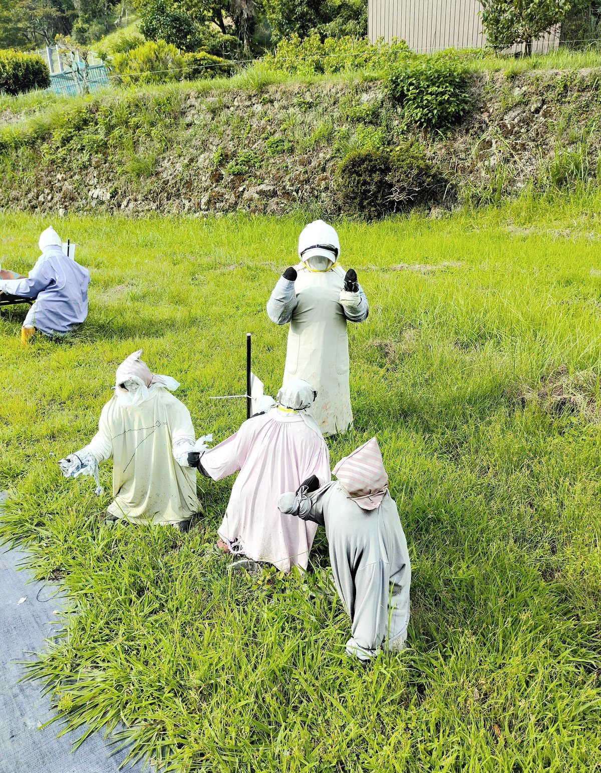 室生寺に行ってみたら｜かえる