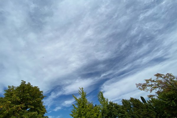 まさ / Atelier Masa｜note