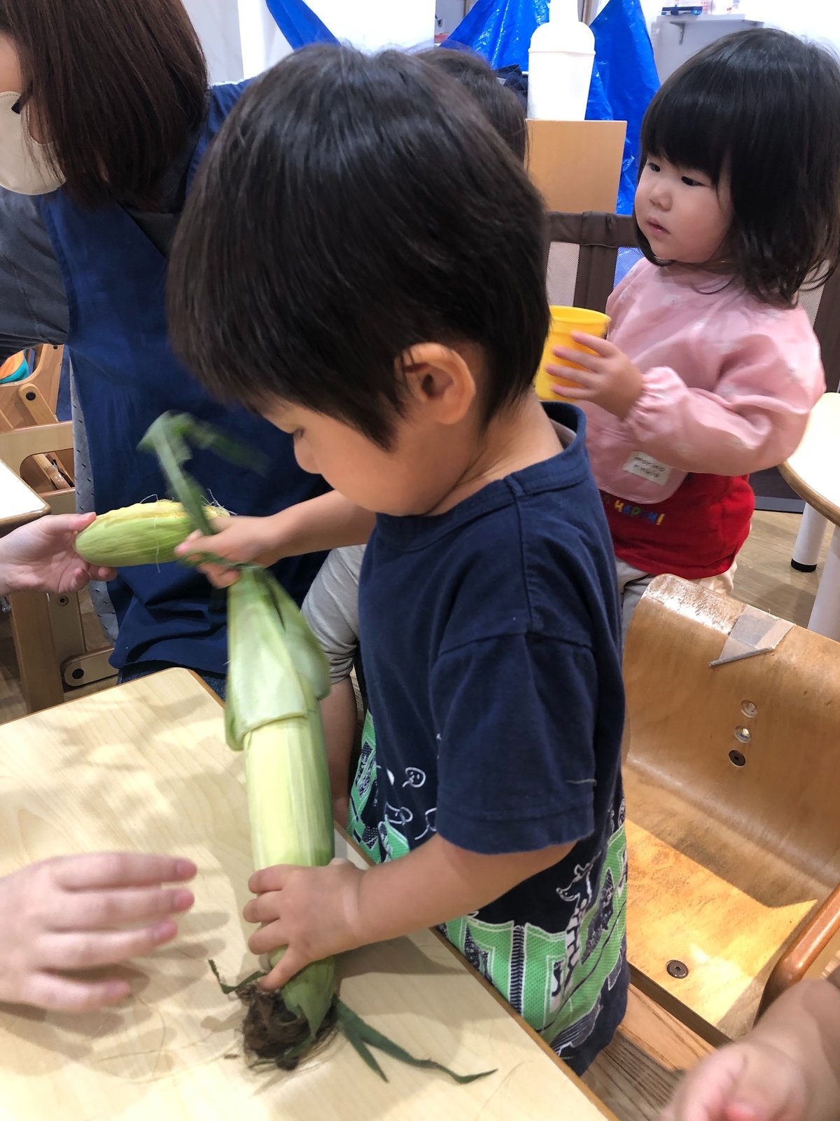 食育「とうもろこしの皮むきに夢中！」(マフィス横濱元町)｜Maffice -マフィス- | 保育note