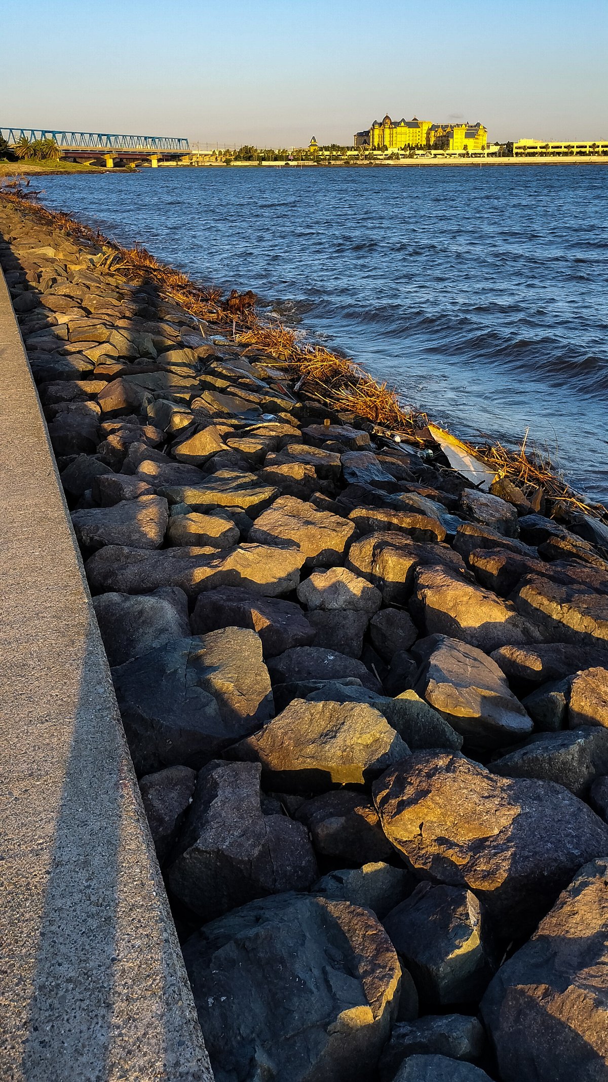 葛西臨海公園の夕暮れ｜Toru Shiratori