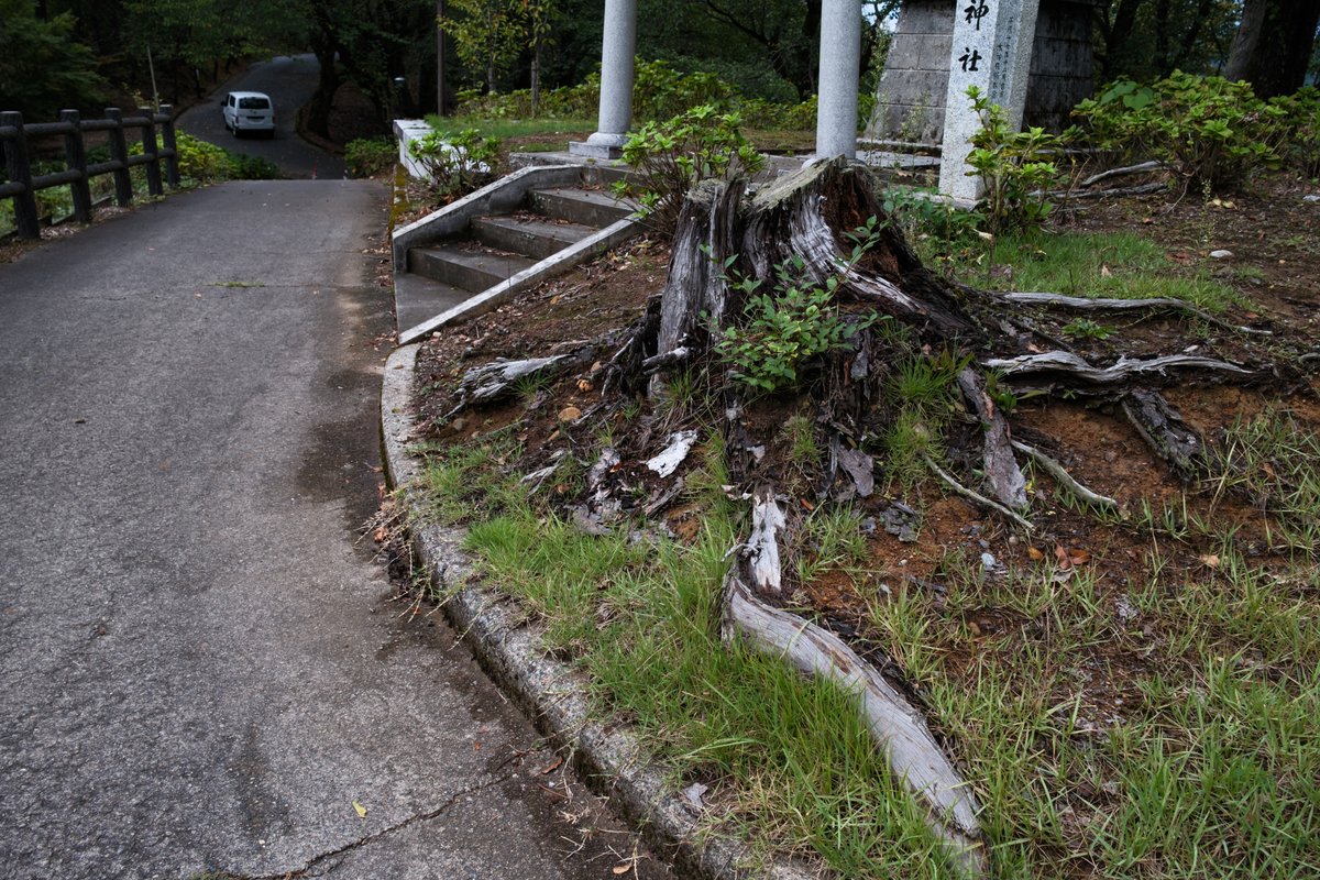 日常スナップ vol.2／FUJIFILM X100VI + ワイコン｜Natsuki Mihiro