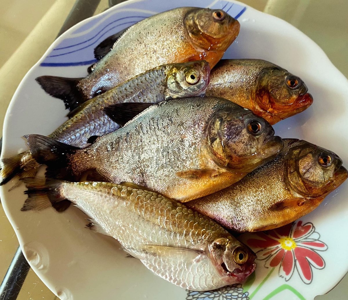 10カ月140万円の世界一周旅行｜Tosh Hash