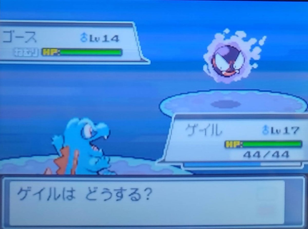 【HGSS#4】死に瀕したので身の振り方を考える（フルメンバー完成）｜雑穀米