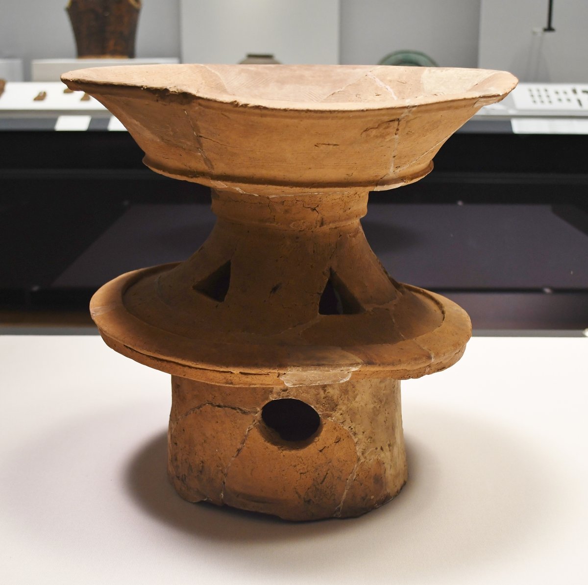 【日本の歴史②】弥生時代 ―稲作の伝来と道具の発展は、人々の生活をどう変えたか？―｜SAMURAI ECHOES