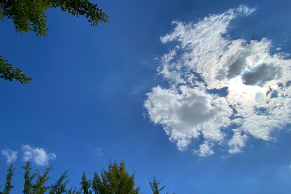 まさ / Atelier Masa｜note