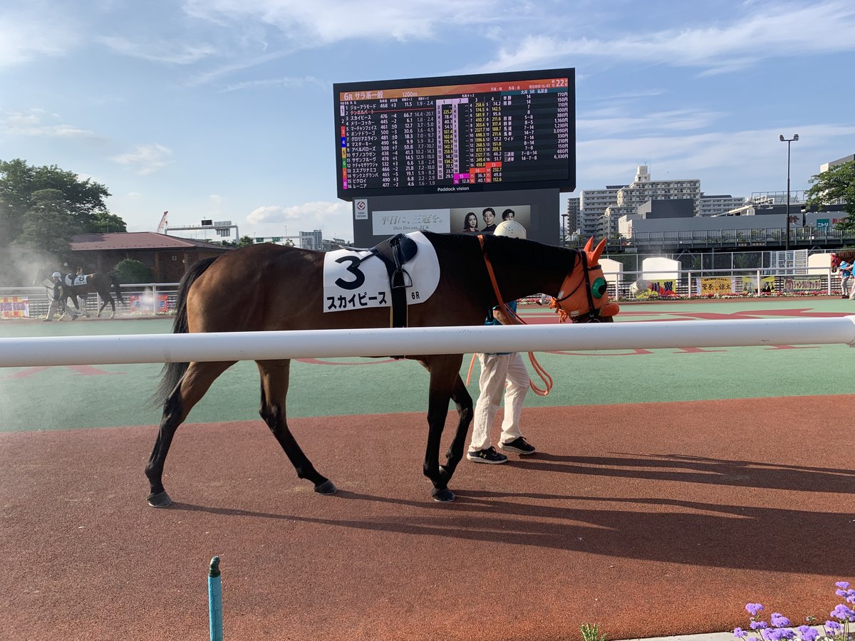 「最高の1日」 大井競馬場を満喫｜baba kotaro