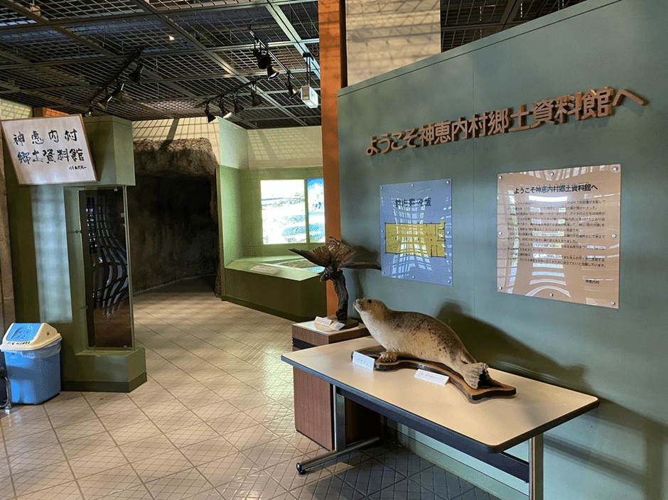 【神恵内村】日本海に沈む夕日が絶景のキャンプ場と絶品の海産珍味｜北海道しりべしの魅力発信！＃JAERO特派員