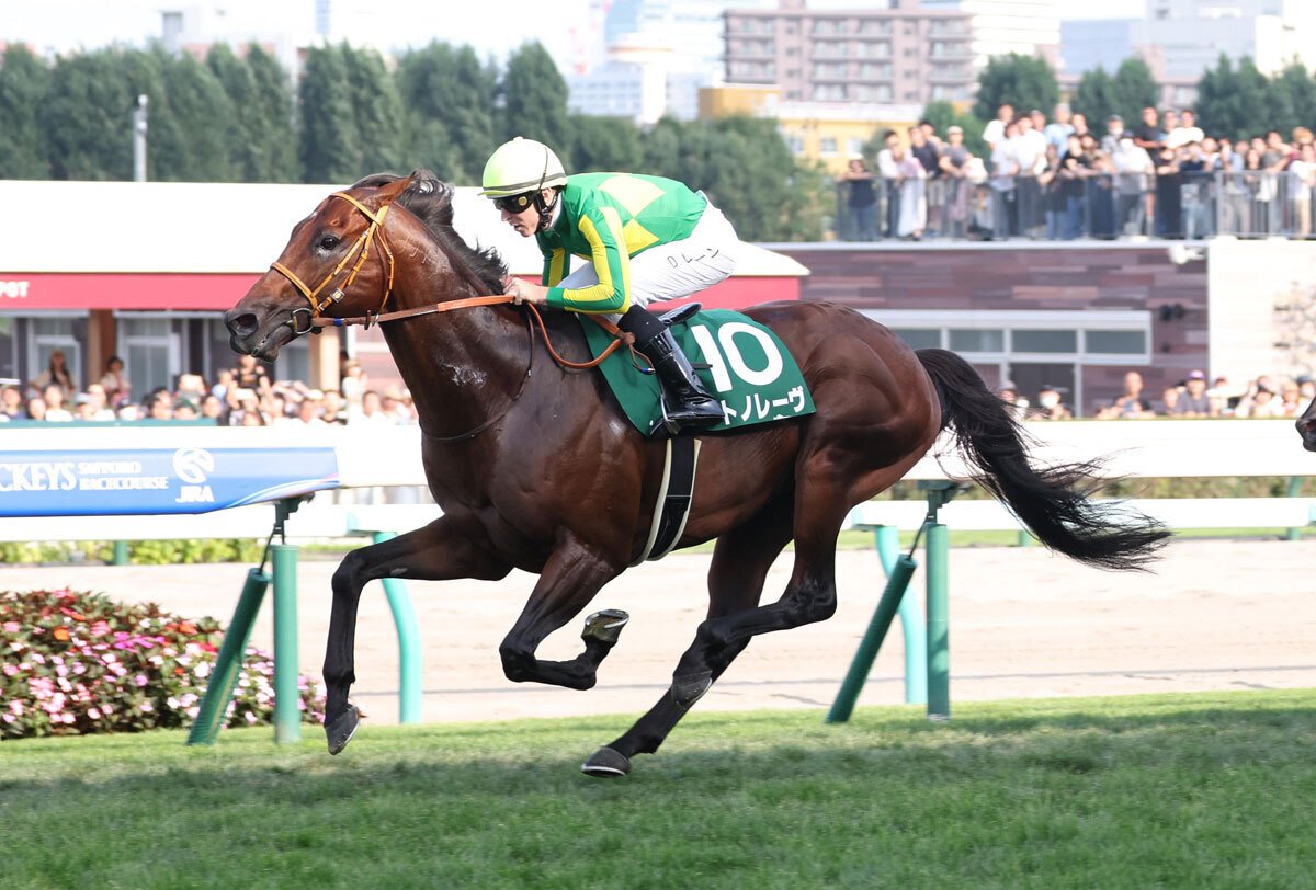 G1スプリンターズS＆G3シリウスS2024攻略MAGAZINE｜えいさあ＠