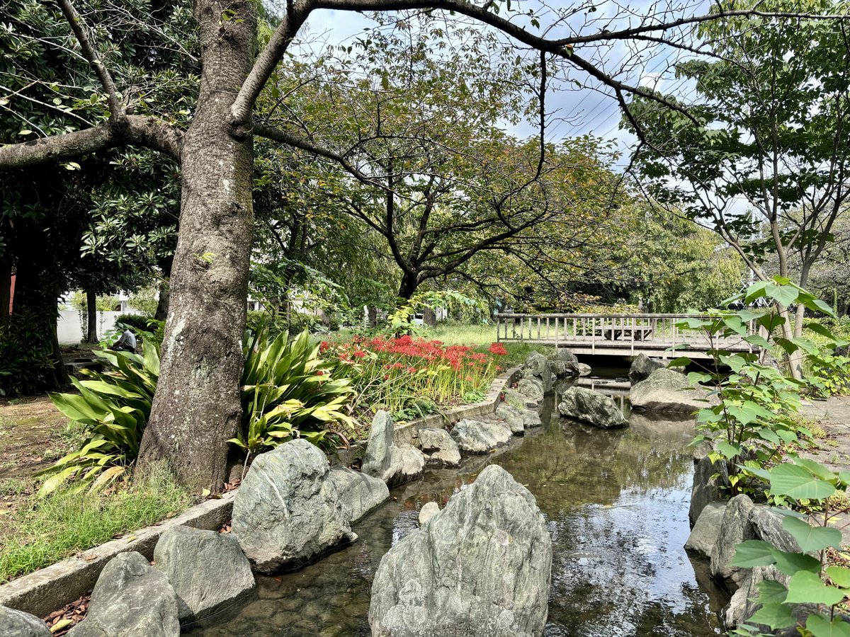 【HY’s綾瀬Ⅱ】綾瀬駅エリアの住みやすさを徹底解説！そして、再開発で街はどう変わる？｜yamoney(ヤマネー)