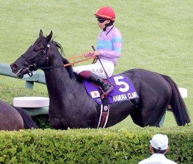 【スプリンターズS（G1）回顧】推奨馬マッドクール12着～何処??｜Haya