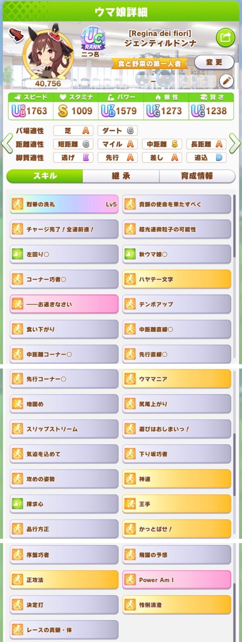 ジェンティルドンナ育成計画(天皇賞秋)｜Akihito Naruse