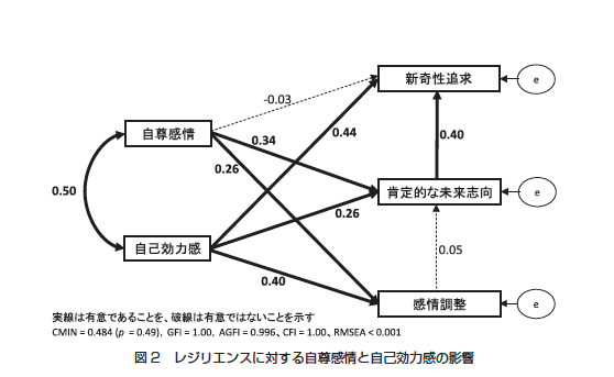 【備忘録：論文version③】女性中堅看護師のレジリエンスに対する自尊感情と 自己効力感の影響｜sawa.ever.918