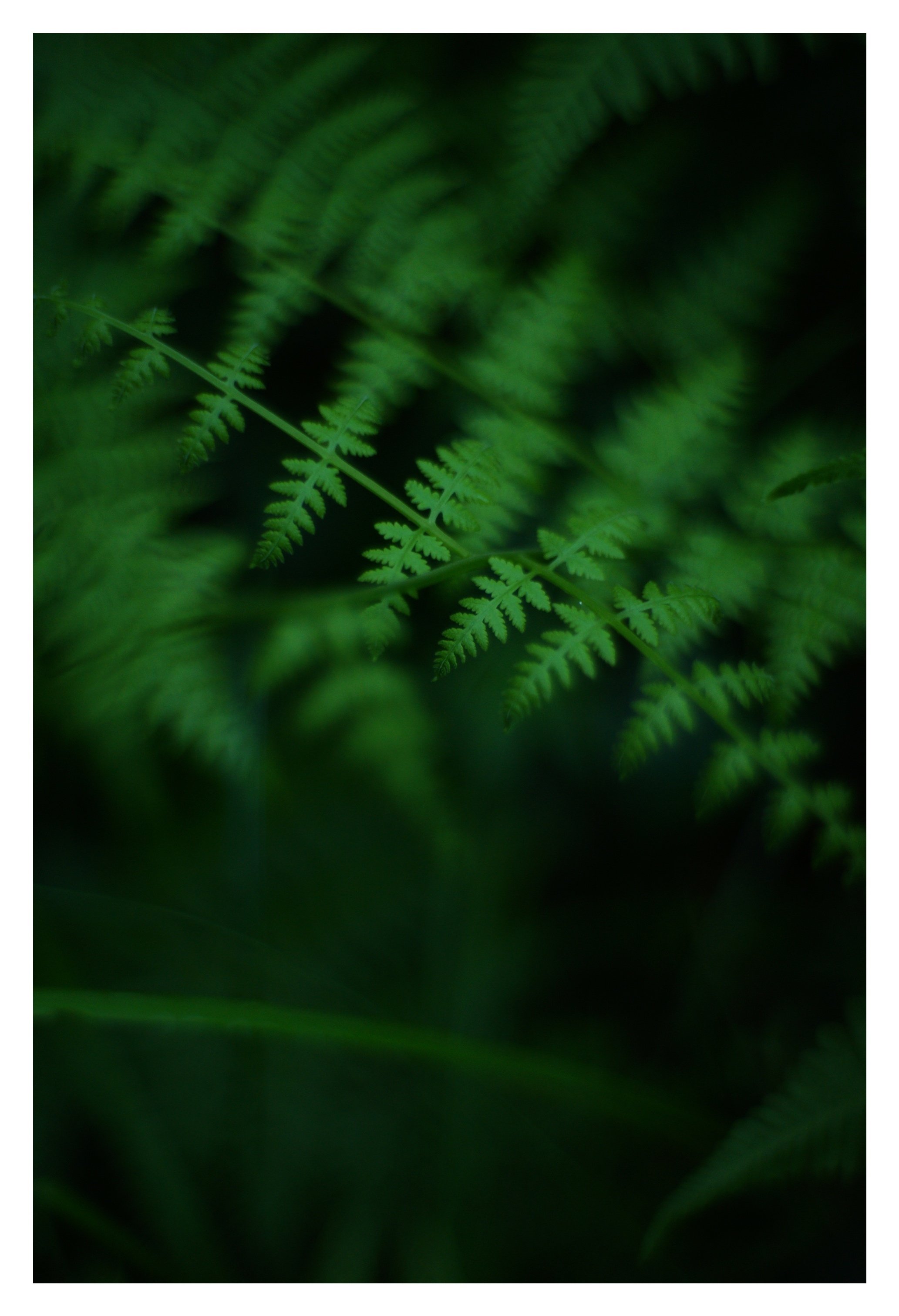 アーカイブ｜shin ikegami