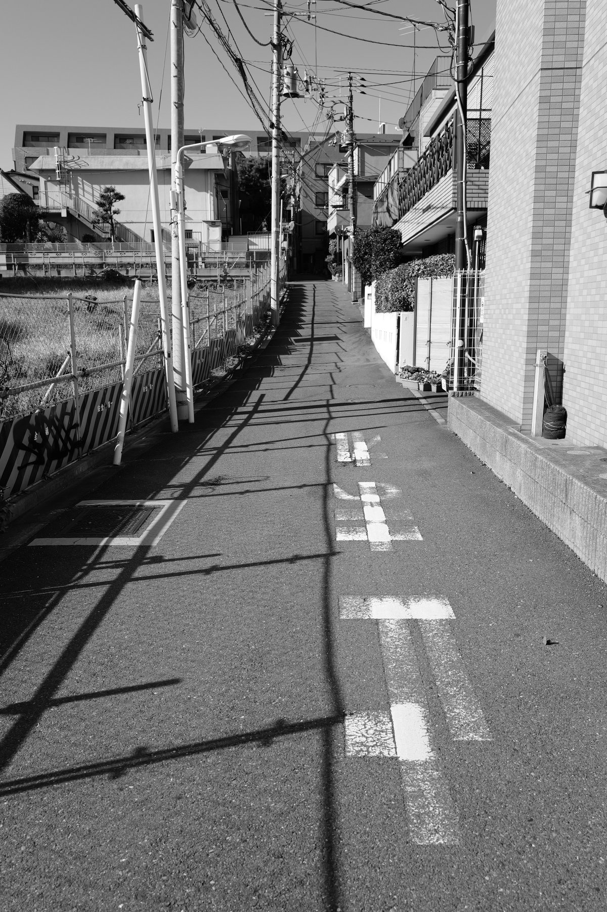 自分にしか見えない道｜Noki.jp