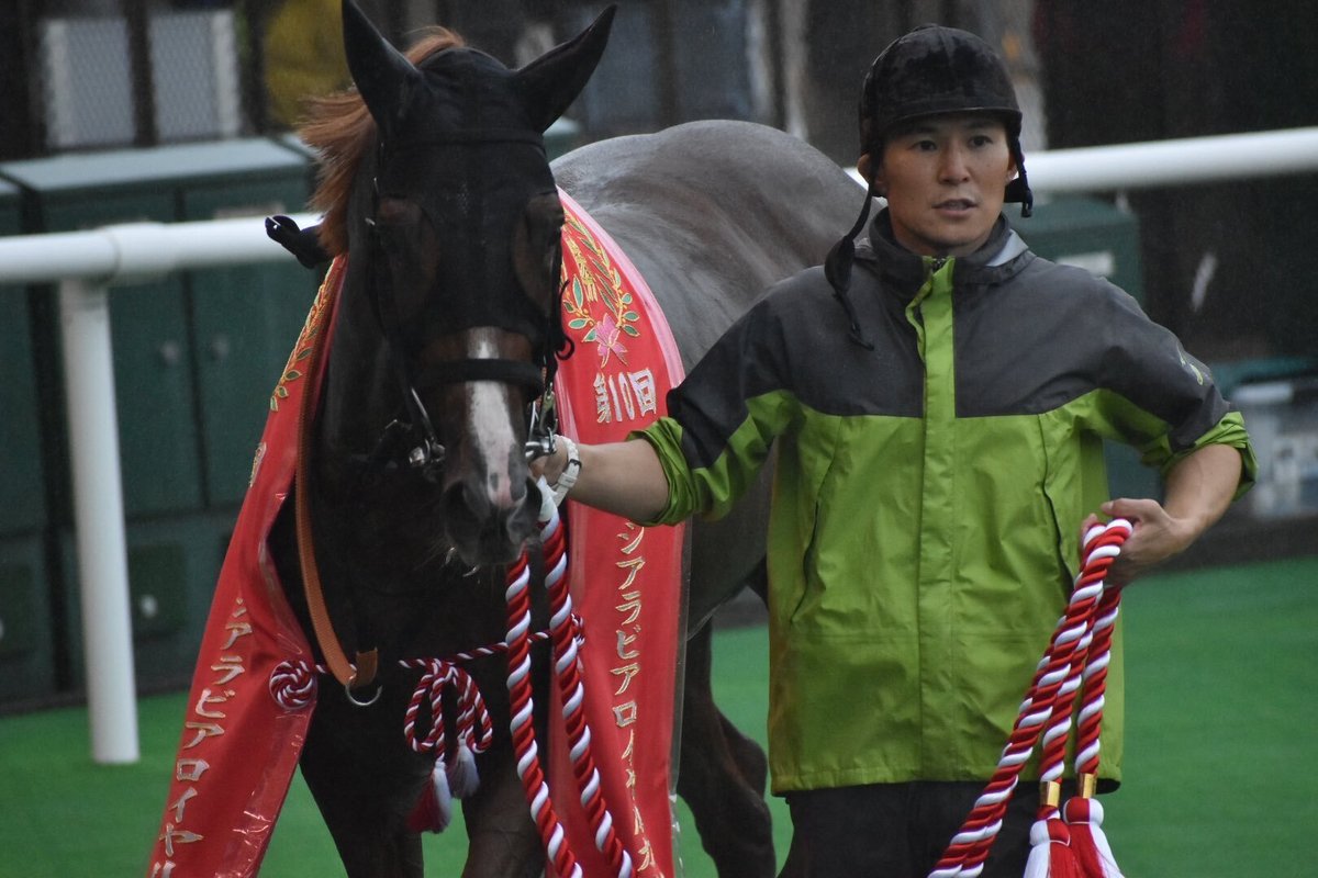 【サウジアラビアRC（G3）回顧】推奨馬アルレッキーノ5着～何処??｜Haya