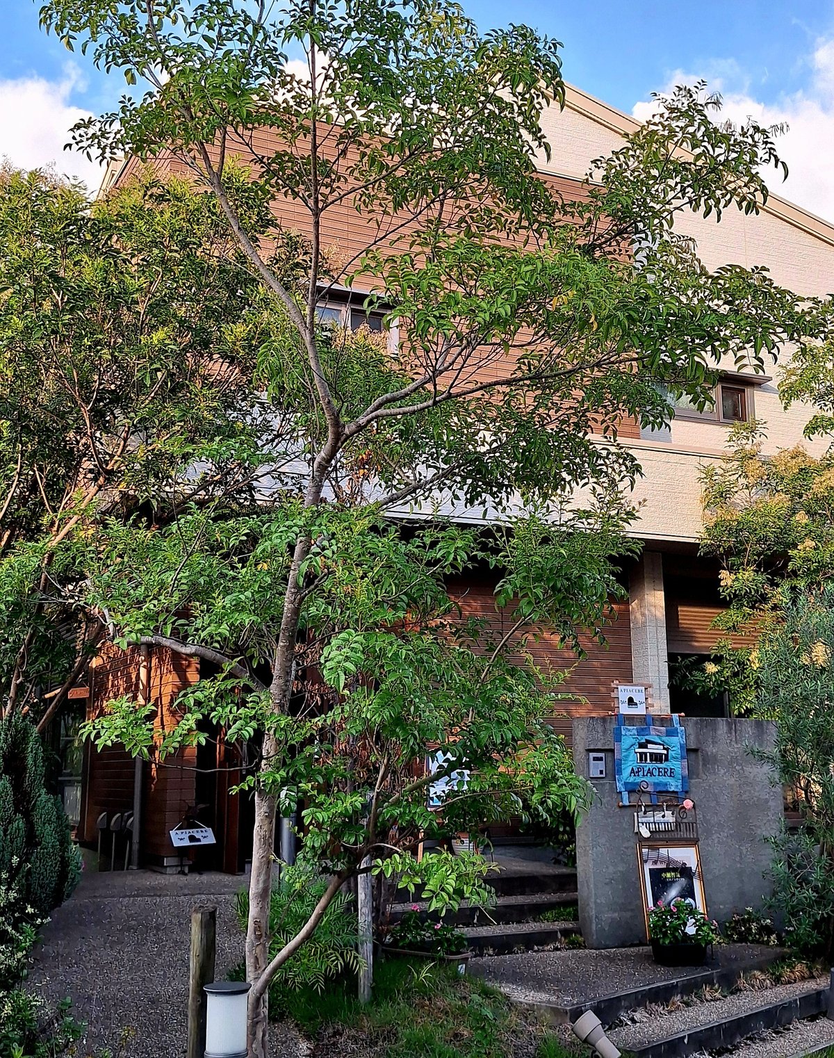 【レポ】2024年10月6日 中瀬智哉ピアノリサイタル@ A・PIACERE in豊田｜Mio🌿