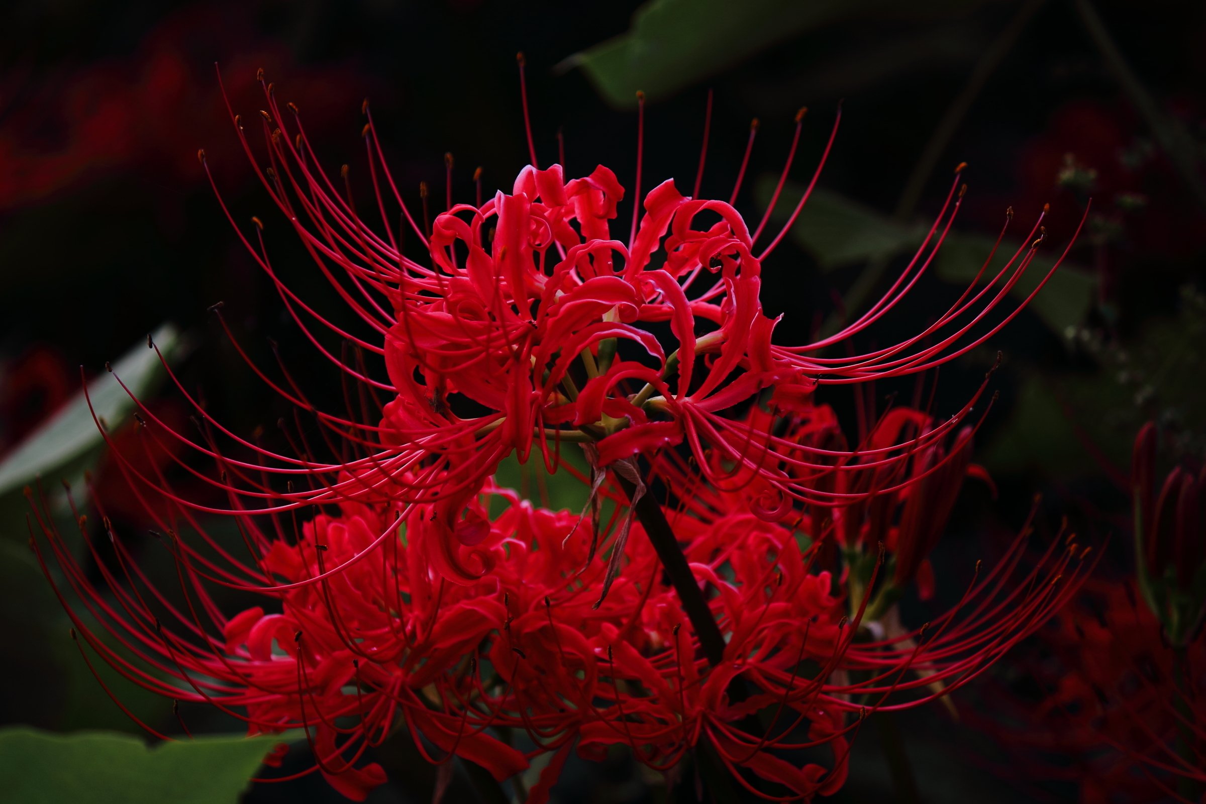 インスタに載せなかった画像｜𝗍𝖺𝗂𝗃𝗂.𝗂