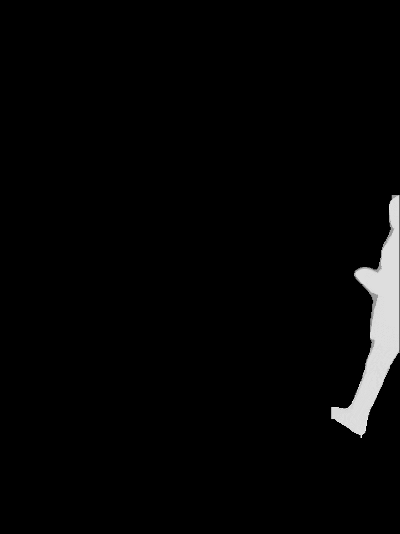 Depth Pro+YOLO11でカメラと人物の距離の推定を試してみた｜thomas