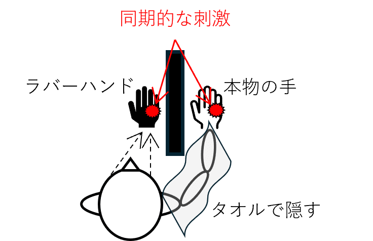 身体認知 ～行為主体感と身体所有感～｜ヲタPT